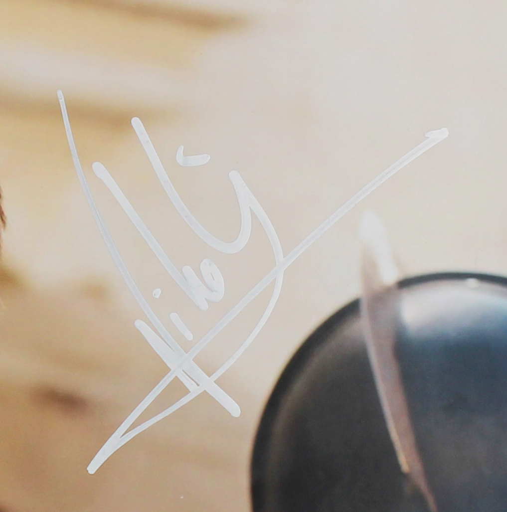 Nikolaj Coaster- Waldau Signed Game of Thrones Unframed 11×17 Photo ...